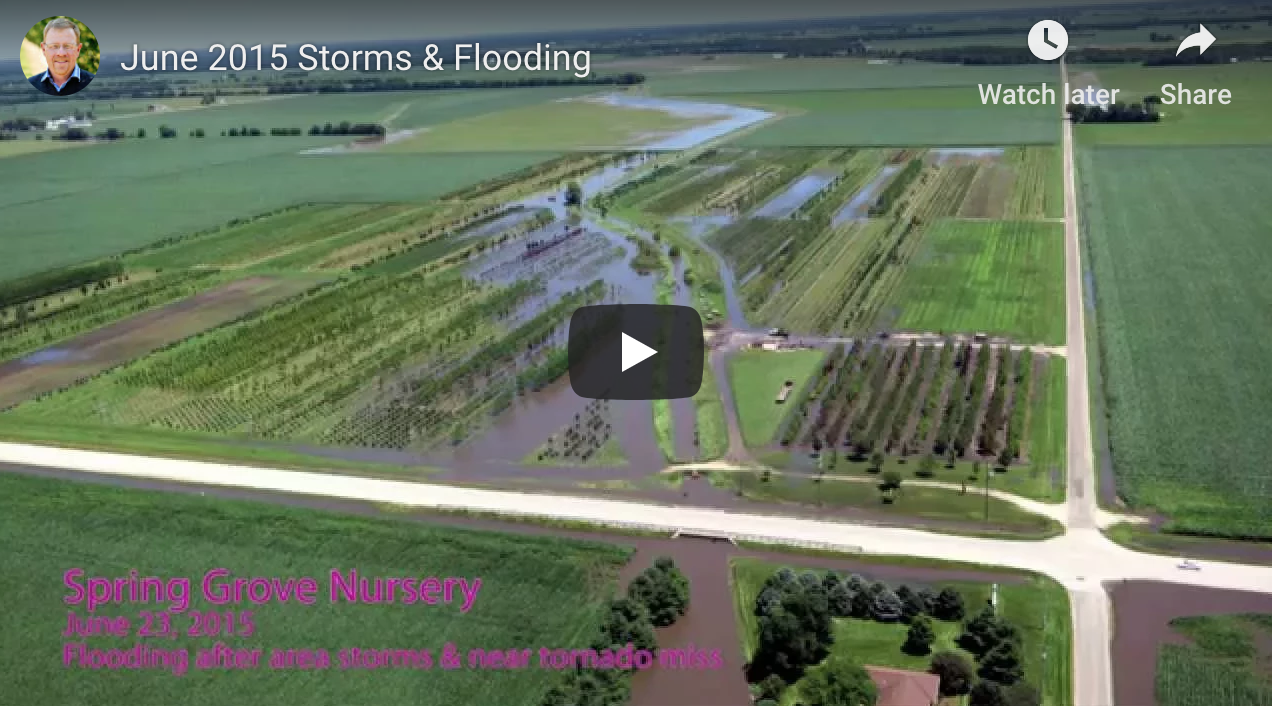 June 2015 Storms & Flooding - Spring Grove Nursery