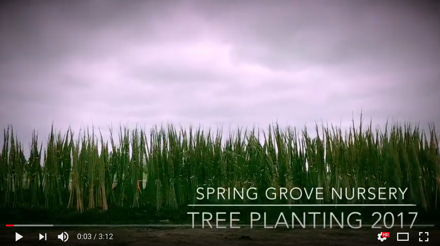 Spring Tree Planting is a Success! - Spring Grove Nursery