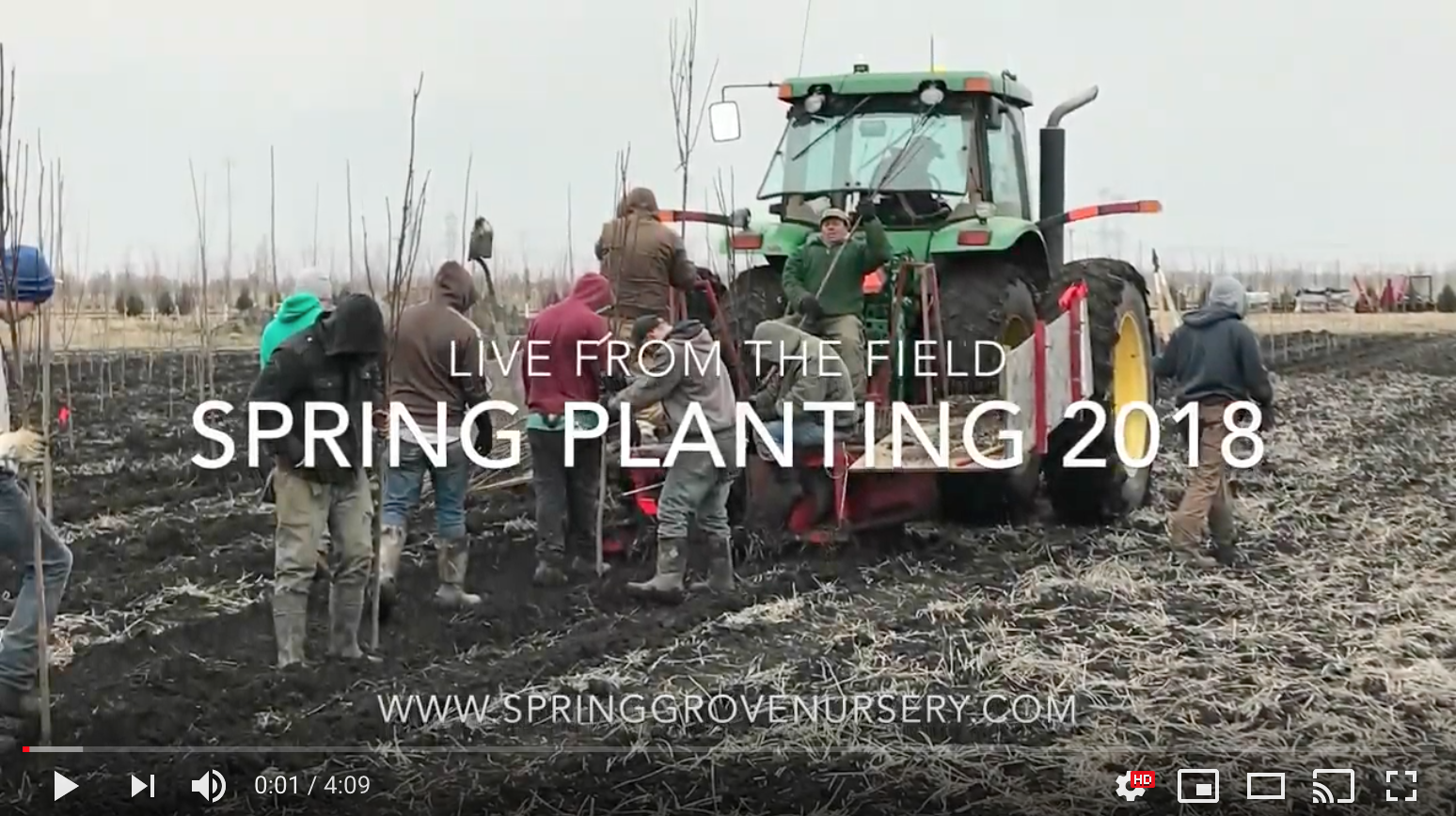 Spring Tree Planting in the Nursery! - Spring Grove Nursery