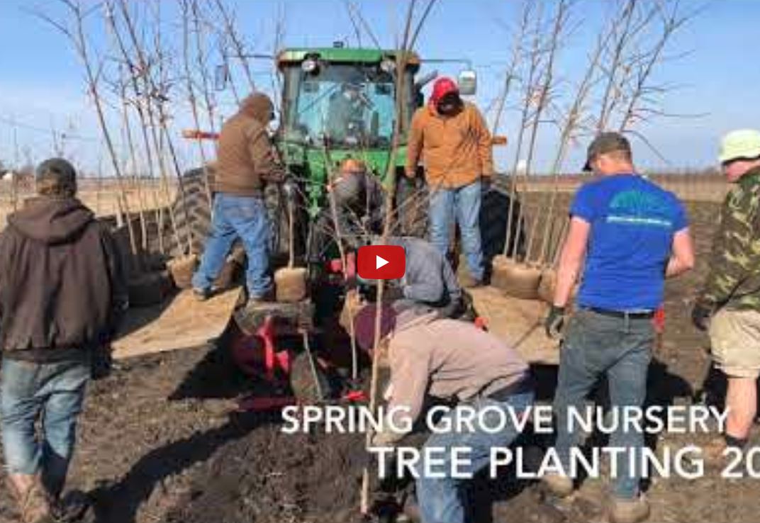 Tree Planting Video 2019 - Spring Grove Nursery