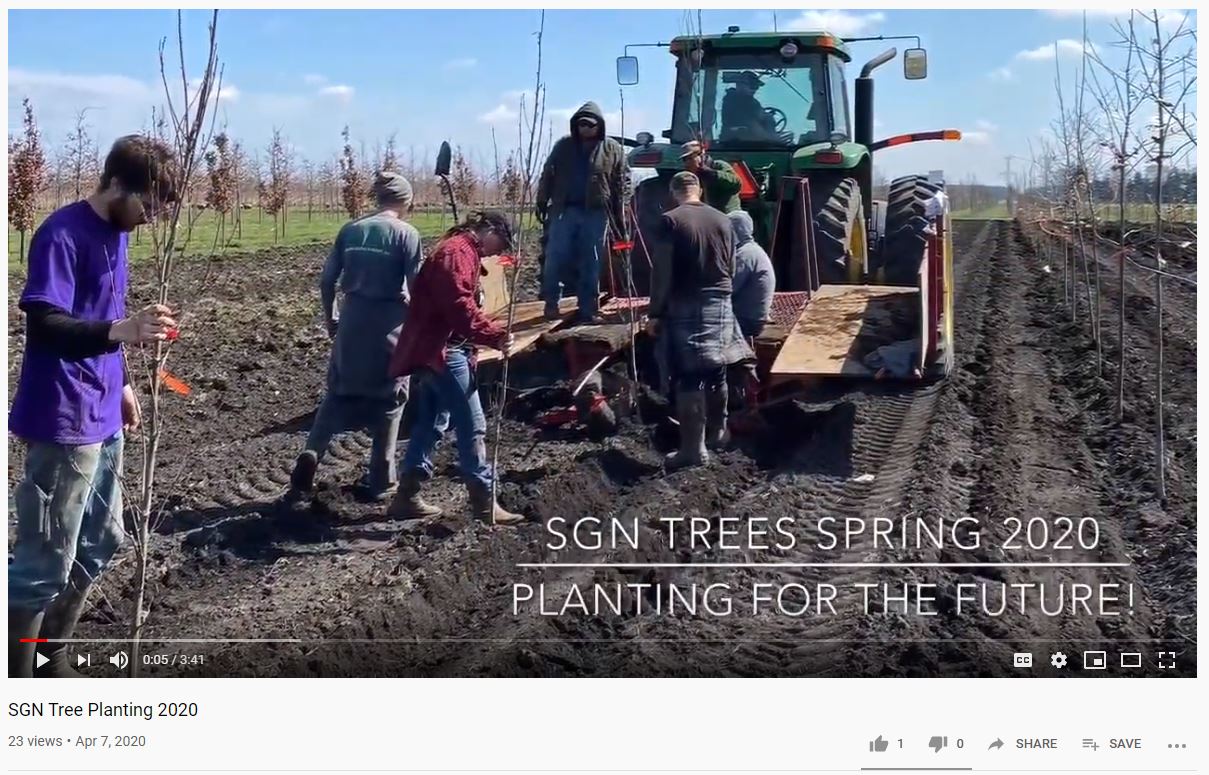 2020 Tree Planting Video! - Spring Grove Nursery