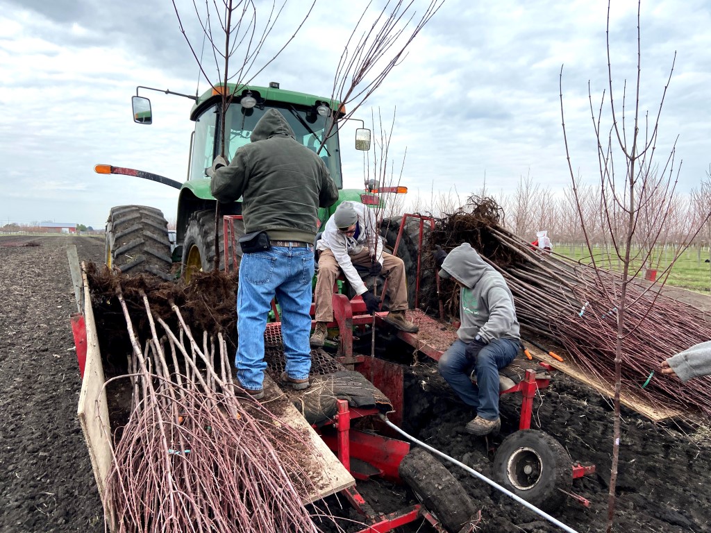 Planting for the Future! Our 2020 Tree Planting is in the Ground ...