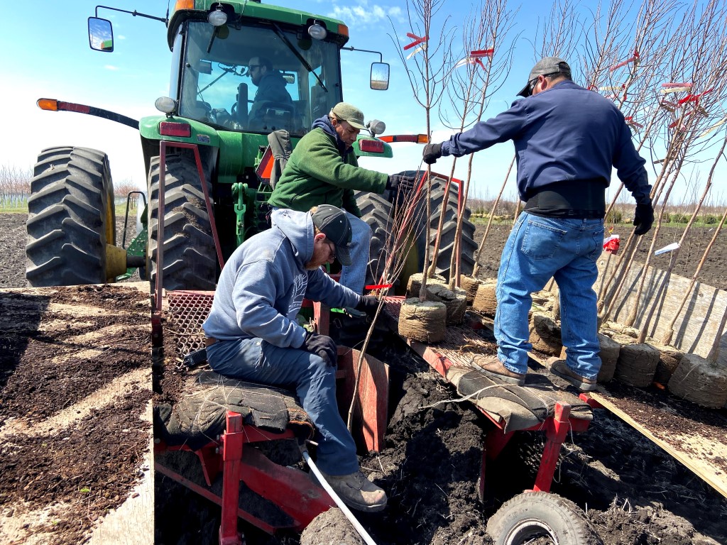 Planting for the Future! Our 2020 Tree Planting is in the Ground ...