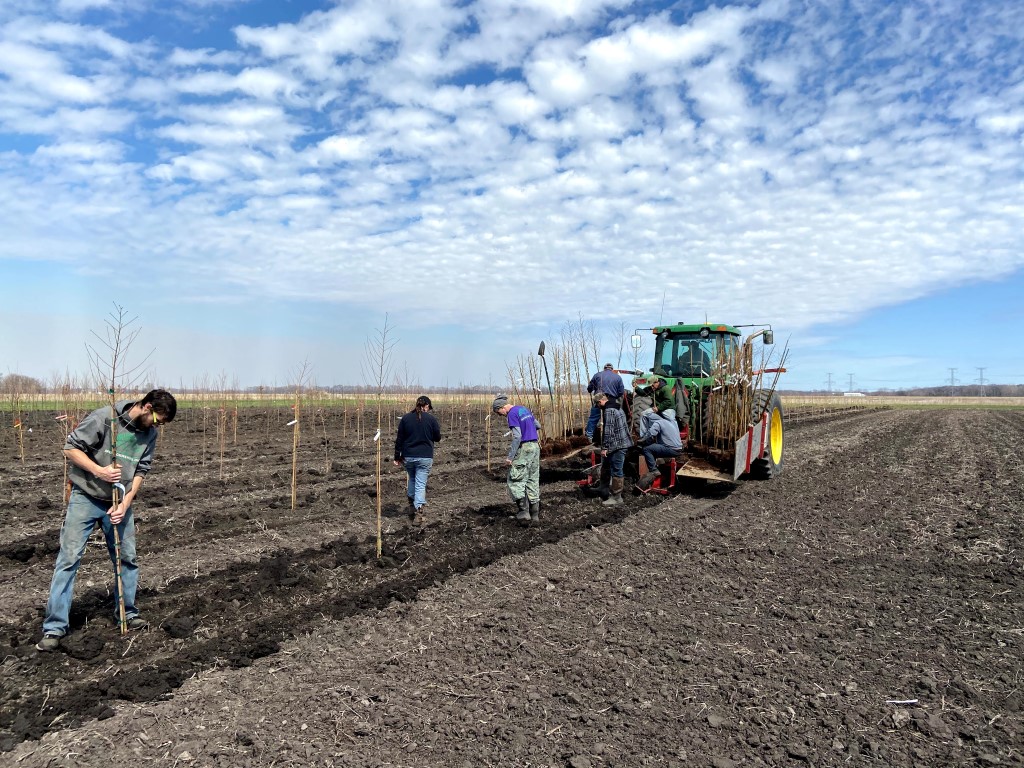 Planting for the Future! Our 2020 Tree Planting is in the Ground ...