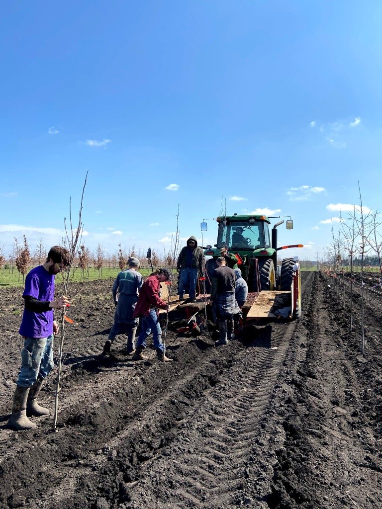 Planting for the Future! Our 2020 Tree Planting is in the Ground ...