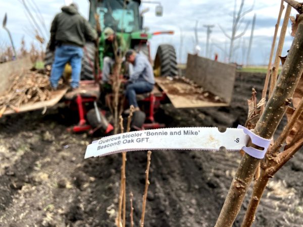 Planting for the Future! Our 2020 Tree Planting is in the Ground ...