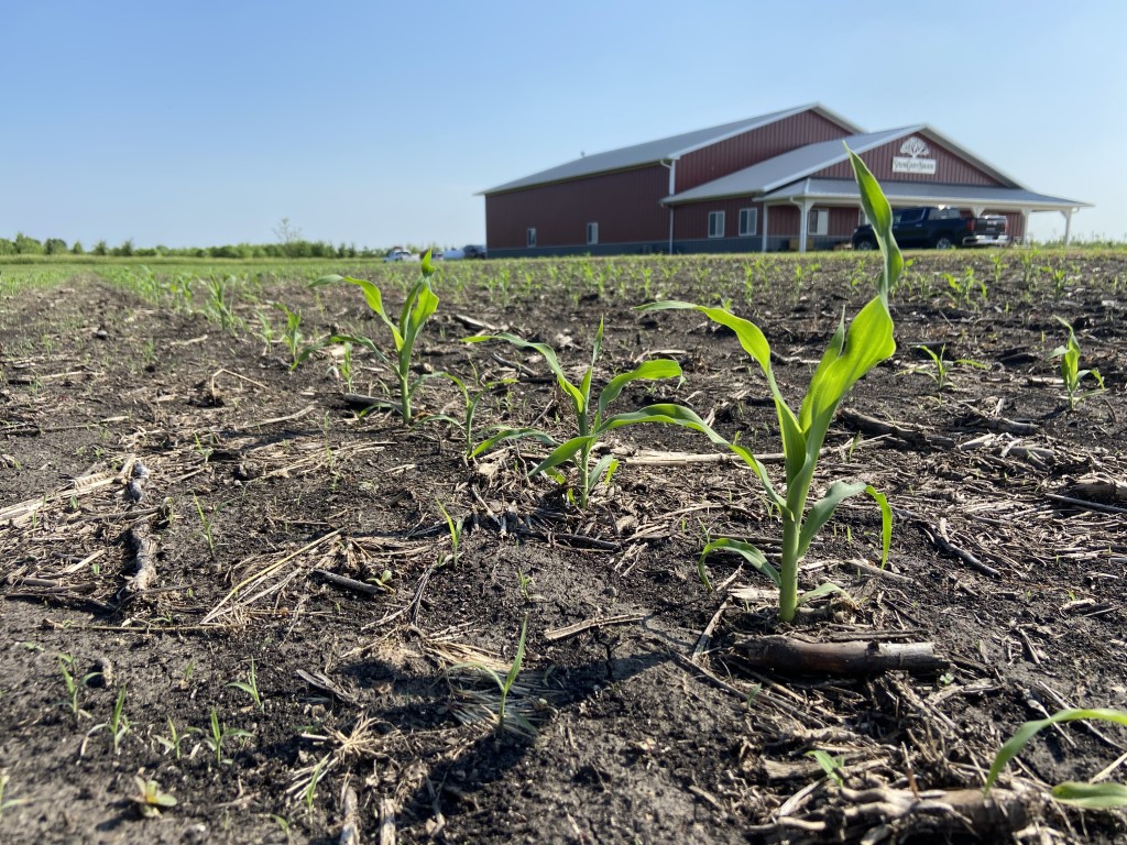Around the Farm in June... - Spring Grove Nursery