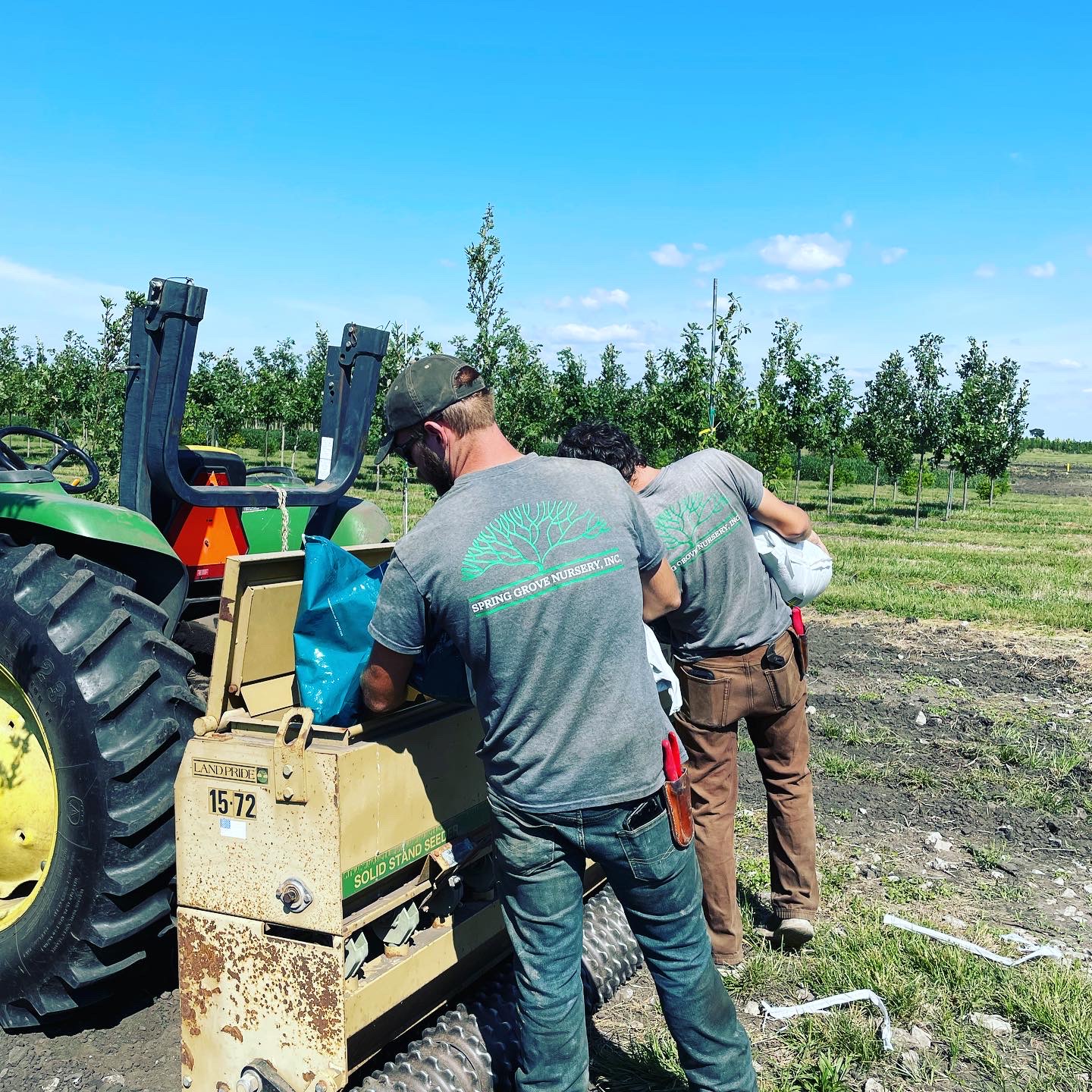 Grass Strips are Planted & Up! - Spring Grove Nursery