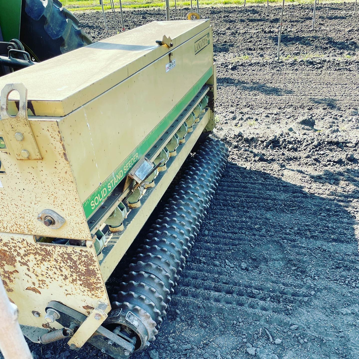 Grass Strips are Planted & Up! - Spring Grove Nursery