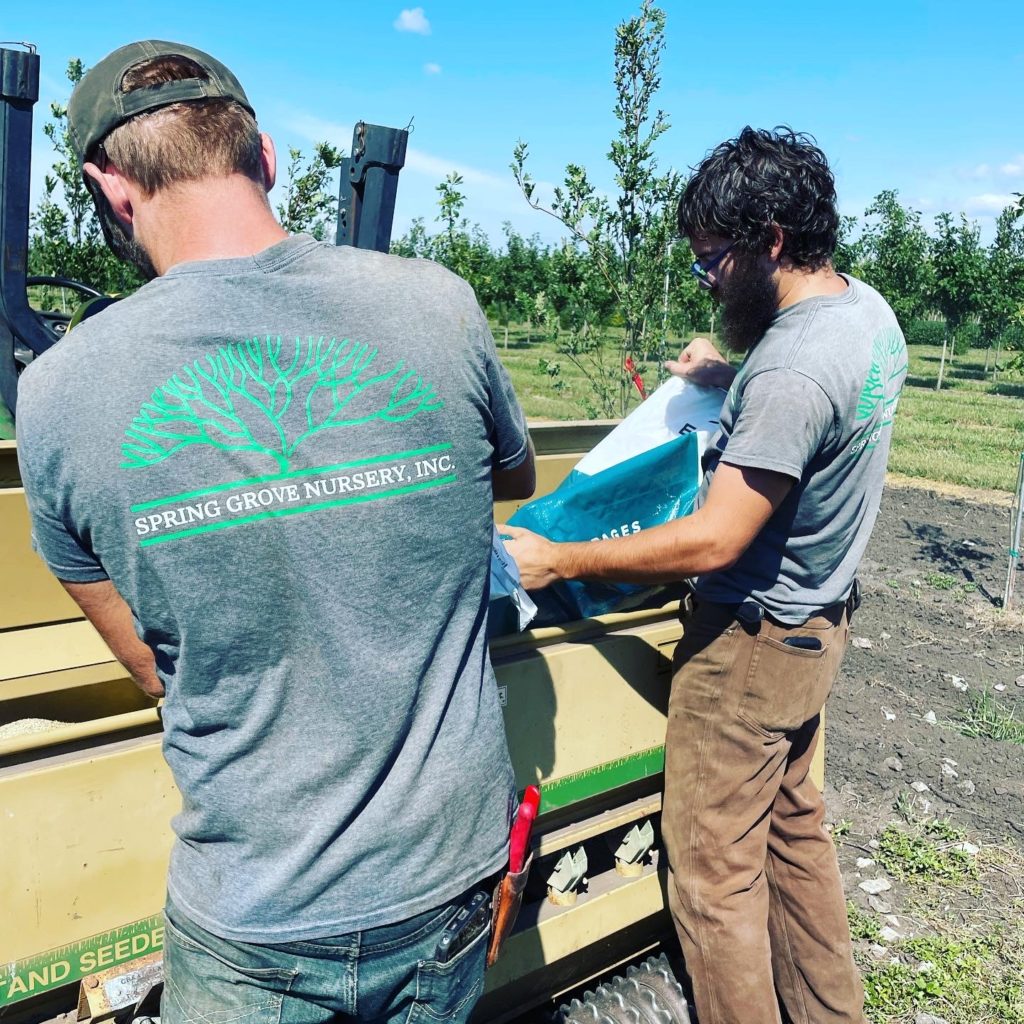 Grass Strips are Planted & Up! - Spring Grove Nursery