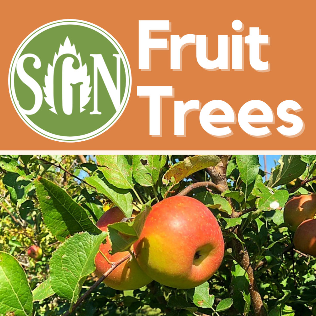 Fall Fruit Trees! - Spring Grove Nursery