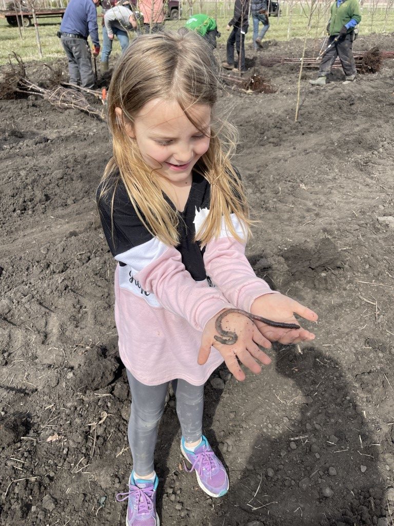 Kids Planting Trees - Spring Grove Nursery