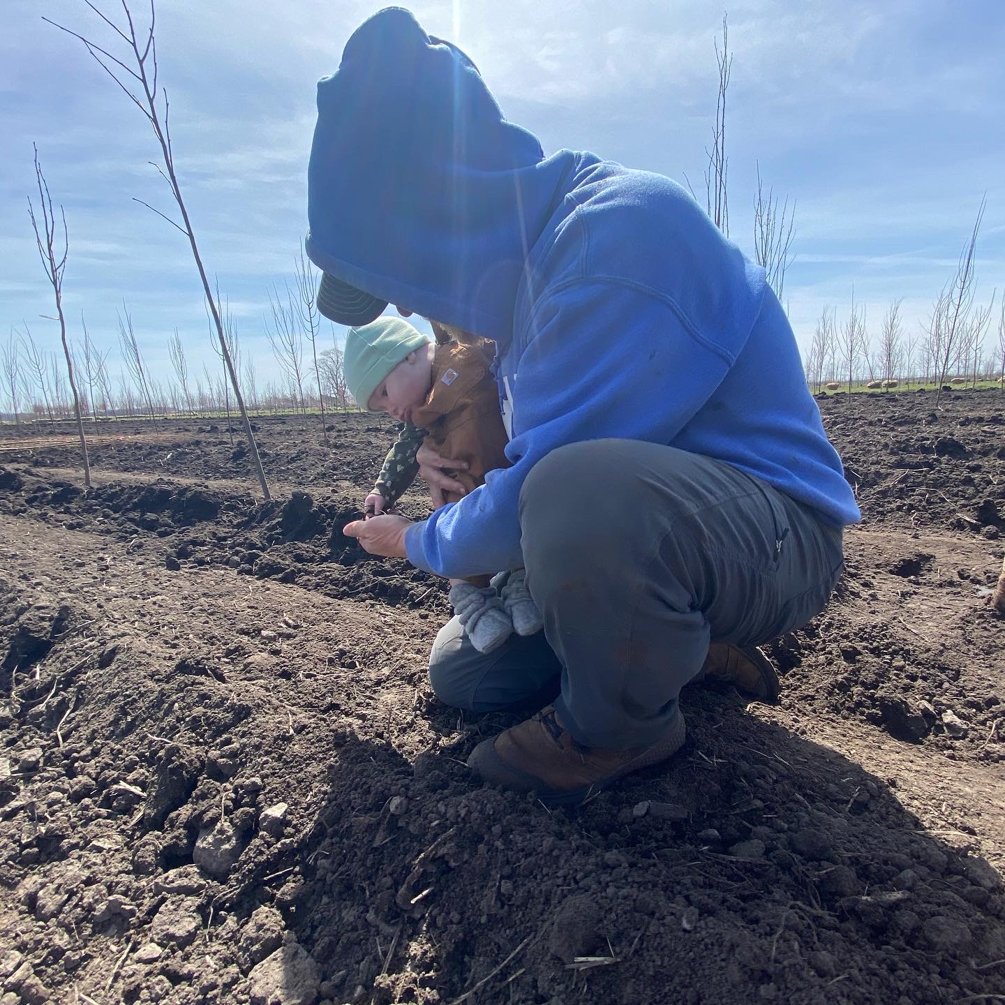 Kids Planting Trees - Spring Grove Nursery