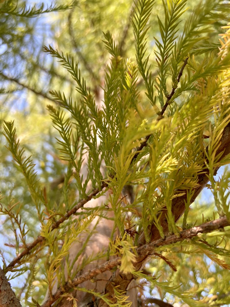 Fall Around the Farm - Spring Grove Nursery