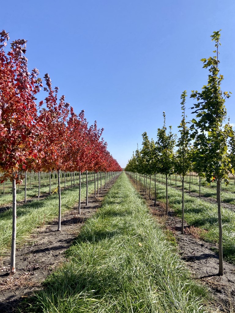 Fall Around the Farm - Spring Grove Nursery