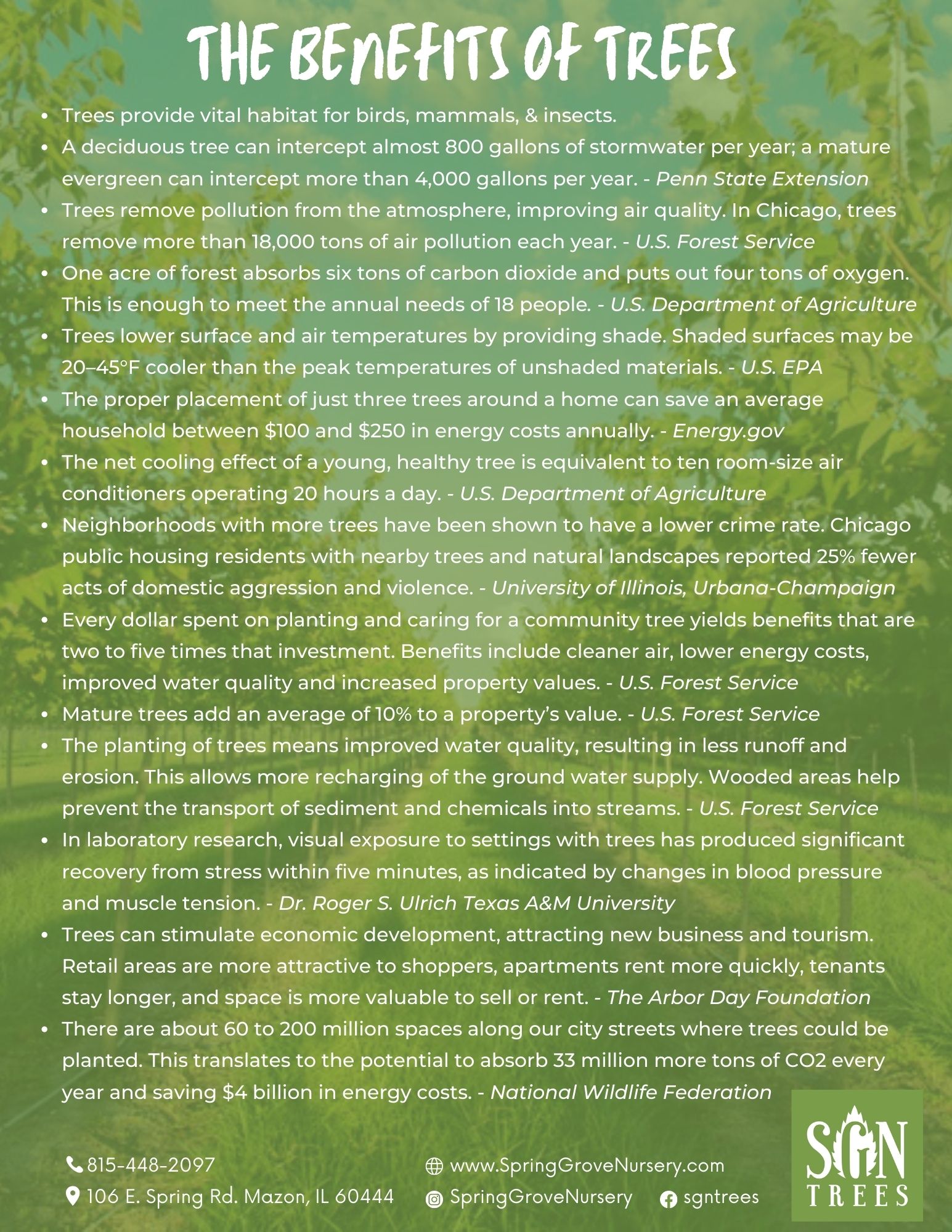 Celebrate Arbor Day & Earth Day with SGN Trees! - Spring Grove Nursery