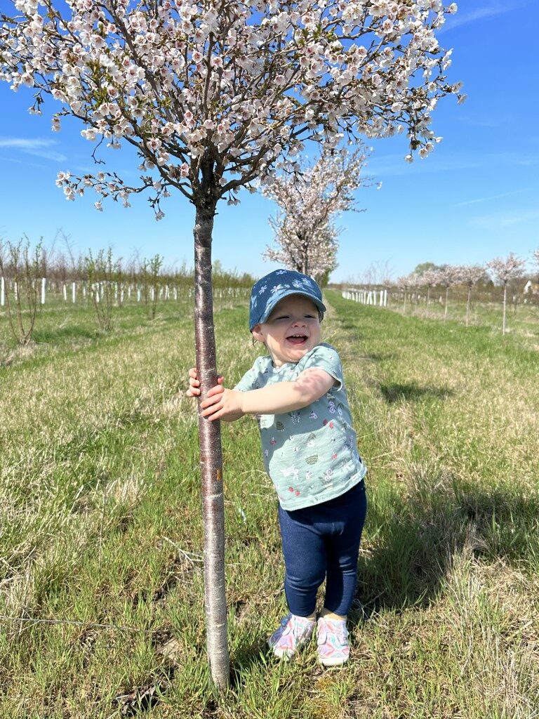 Kids Planting Trees - Spring Grove Nursery