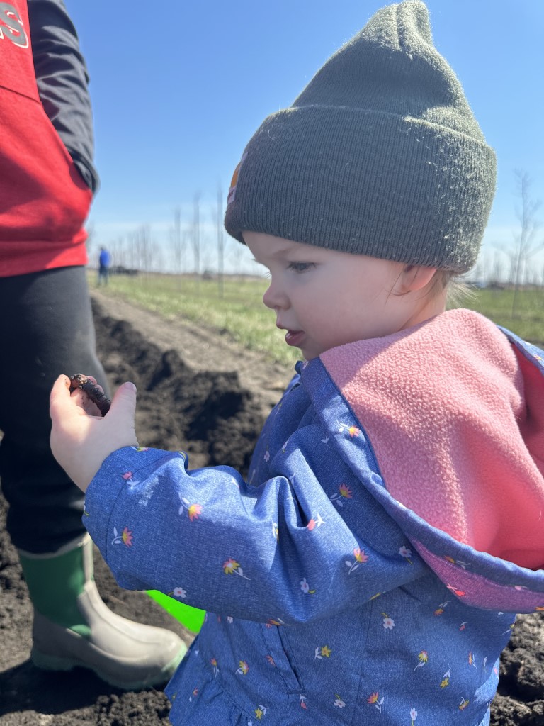 Kids Planting Trees - Spring Grove Nursery