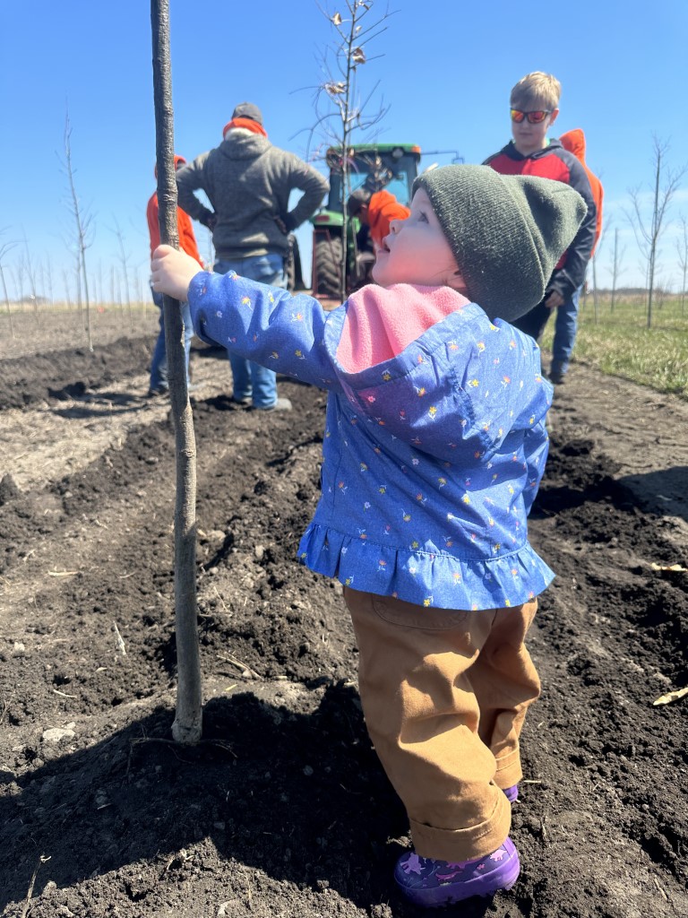 Kids Planting Trees - Spring Grove Nursery