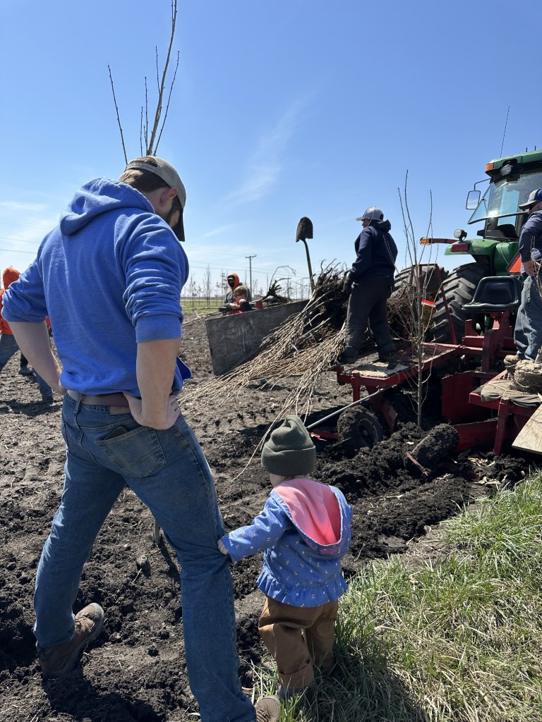 Kids Planting Trees - Spring Grove Nursery