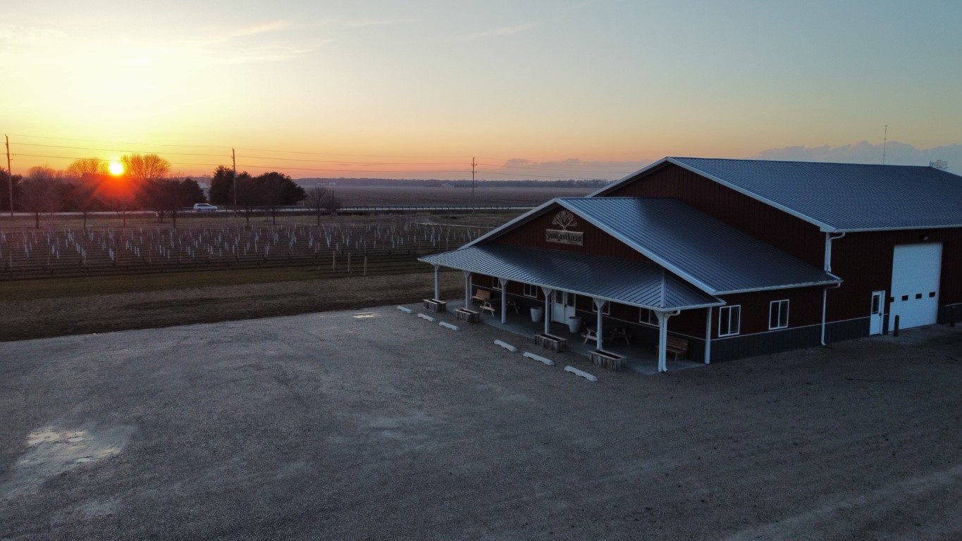 Friday at SGN Trees! - Spring Grove Nursery