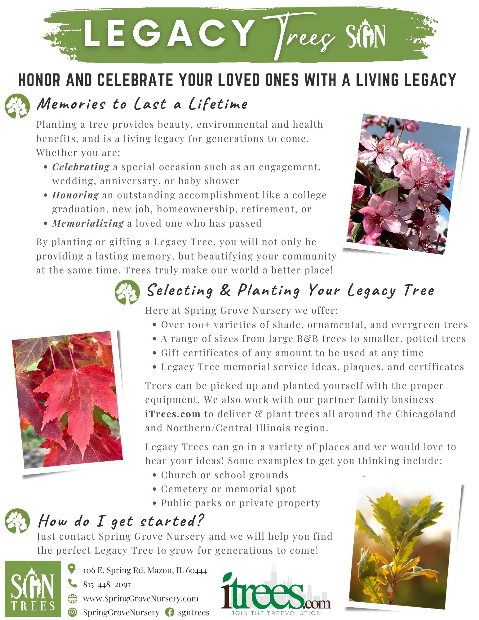 Legacy Trees - Memories to Last a Lifetime - Spring Grove Nursery