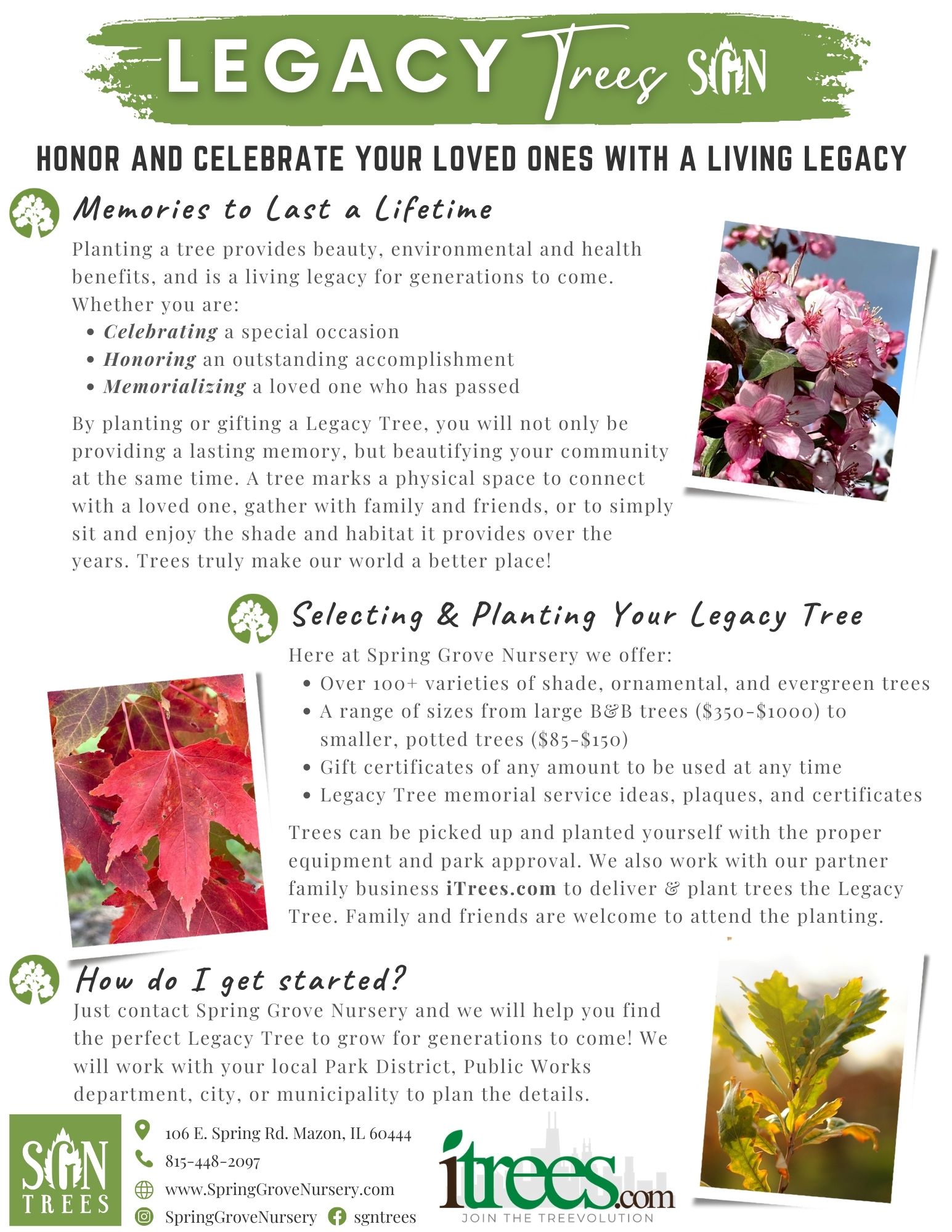 Legacy Tree™ Program at Spring Grove Nursery - WHOLESALE PACKAGE ...