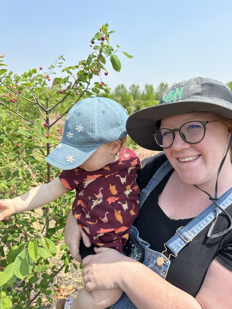 The History of Serviceberry Trees - June Tree of the Month! - Spring ...