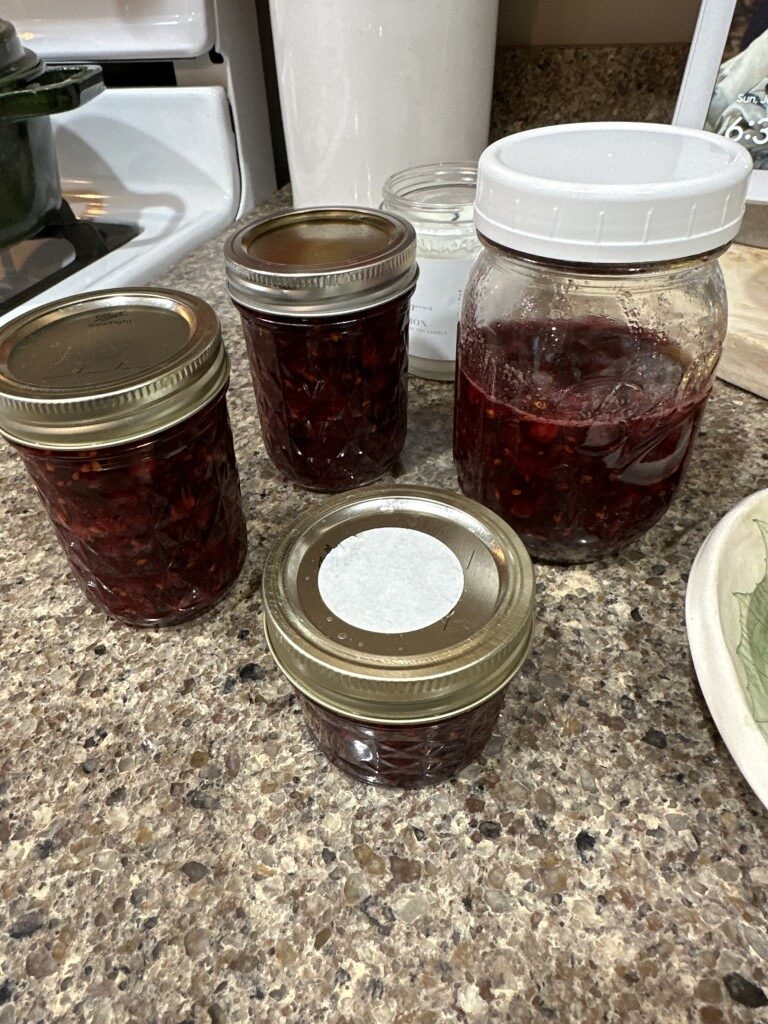 The History of Serviceberry Trees - June Tree of the Month! - Spring ...