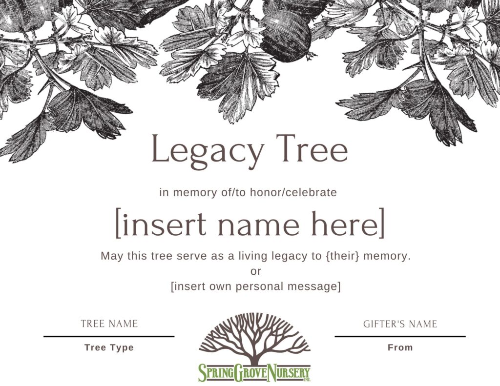 Legacy Tree™ Package - A Timeless Tribute - Spring Grove Nursery