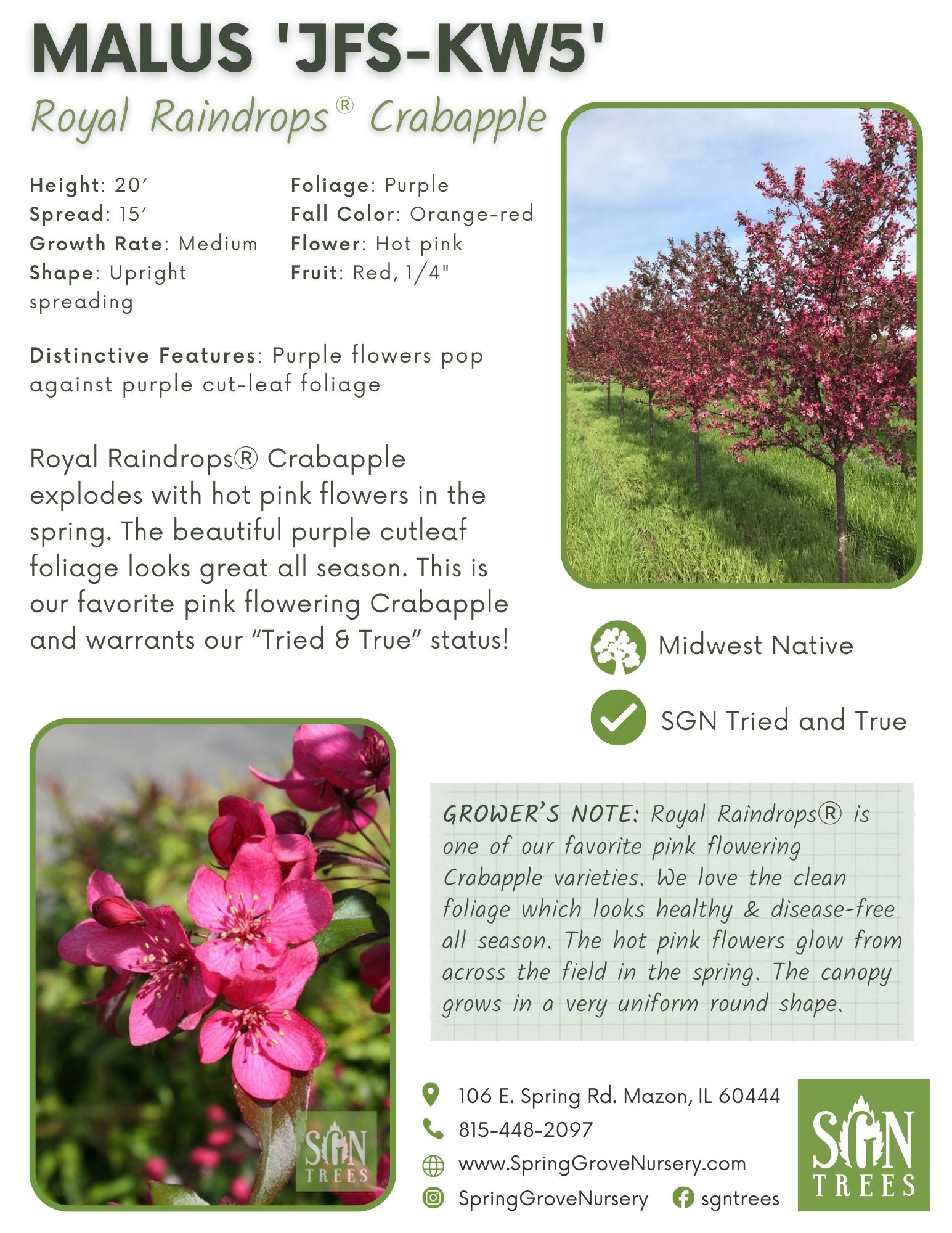 April Tree of the Month: Malus - Spring Grove Nursery
