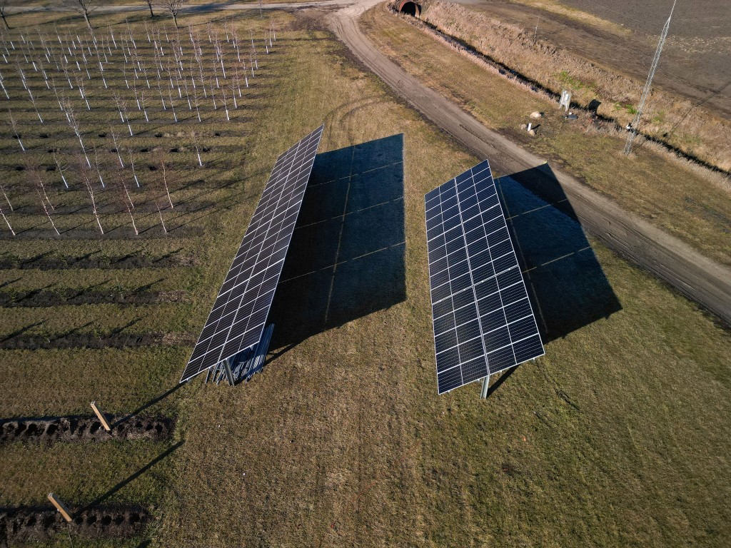 Harvesting the Sun! - Spring Grove Nursery