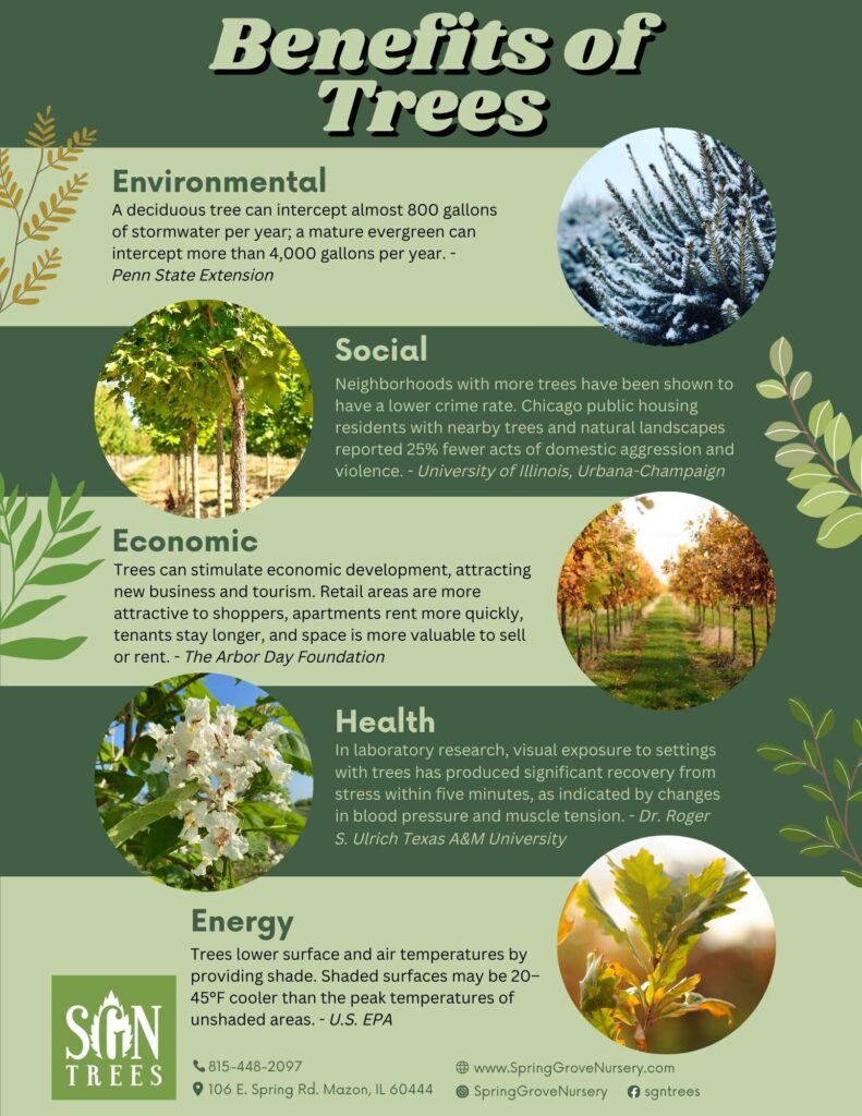 The Benefits of Trees - Spring Grove Nursery