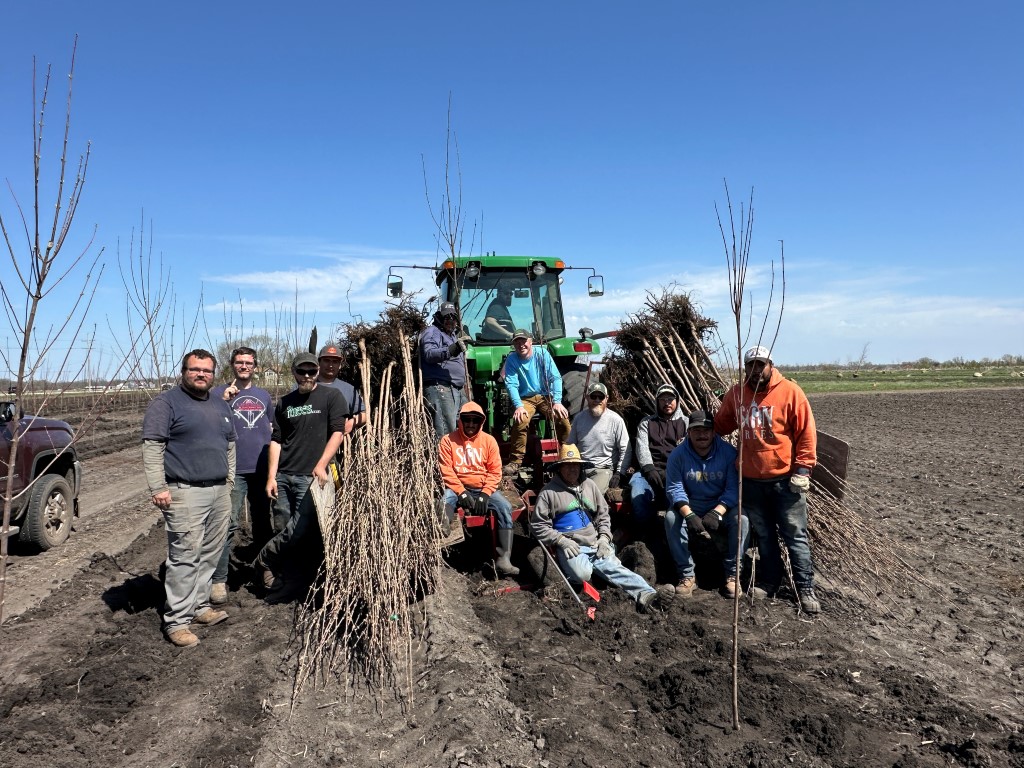 A New Tree Planting Season is Underway at SGN Trees! - Spring Grove Nursery