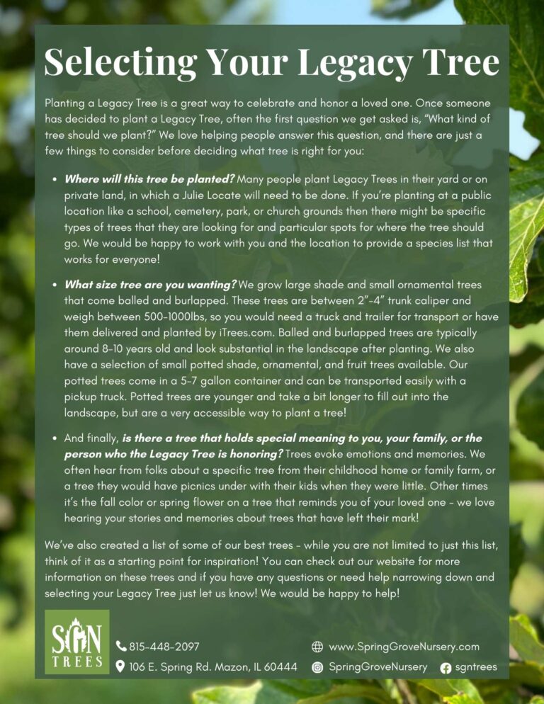 Selecting your Legacy Tree™ - Spring Grove Nursery