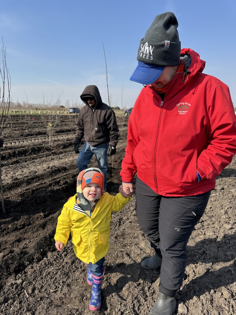 A New Tree Planting Season is Underway at SGN Trees! - Spring Grove Nursery