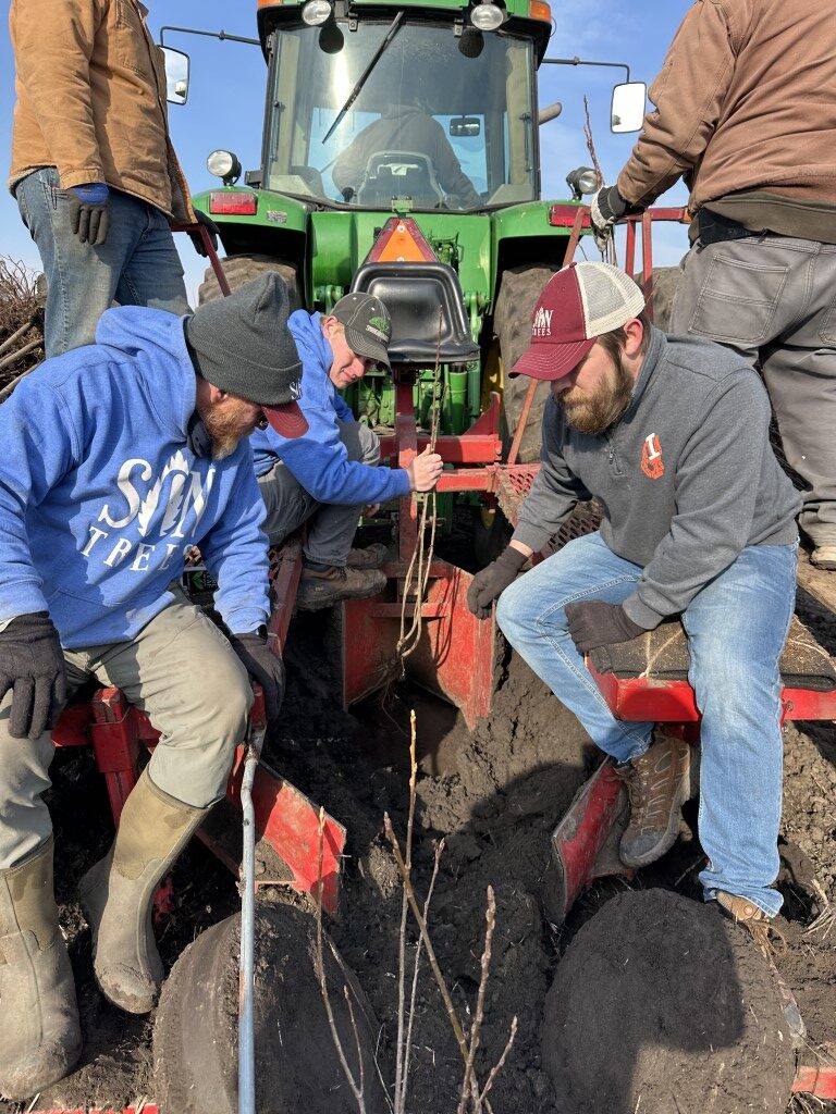 A New Tree Planting Season is Underway at SGN Trees! - Spring Grove Nursery