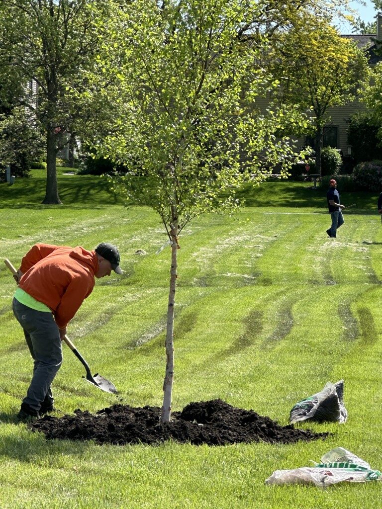 Spring Tree Plantings at Roselle Park District - Spring Grove Nursery